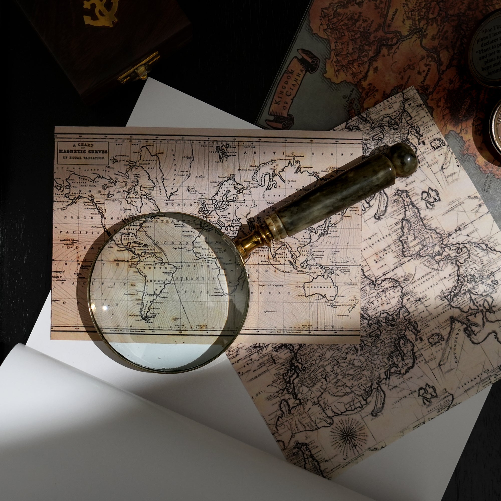 Premium Grip Reading Magnifier with Gold-Tone Frame | Brown – ExpobazaarEU